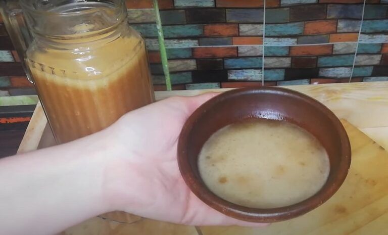 Receta de pisco sour chileno - ¡Aprende a preparar el cóctel más ...